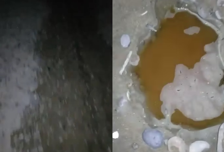 Motorhome derramando líquidos cloacales en el Puerto del Este